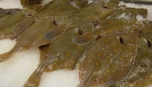 PLATVIS - P.O. Wieringen